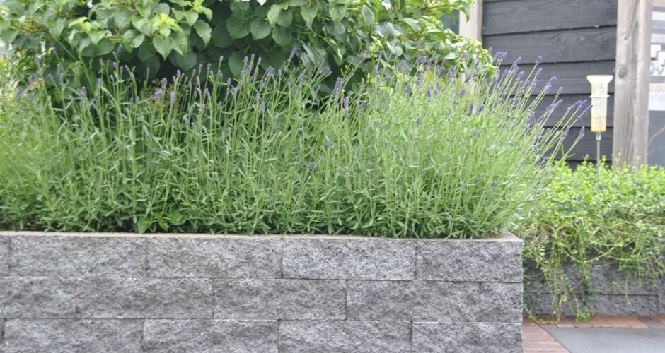 Het voordeel van verhoogde borders